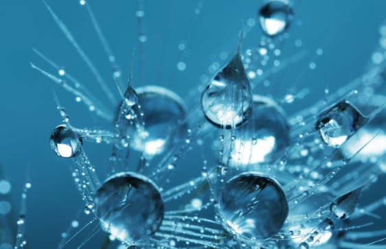 7 Stocks To Buy For The Future Of Clean Water Technology - Zenect Wealth